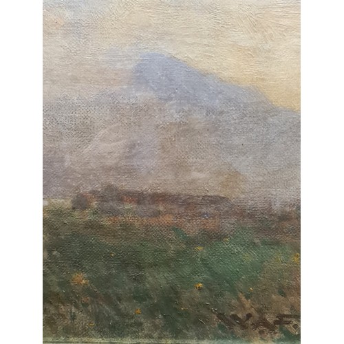 Star Lot: An original oil on canvas painting. Features a serene ...