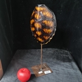 A beautiful artificial Loggerhead Turtle shell / carapace mounted on a ...