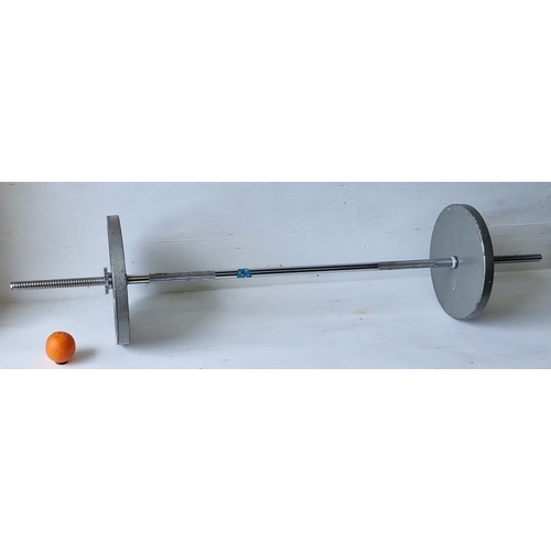 Gold's Gym chrome spin-lock barbell featuring cast-iron weight plates ...