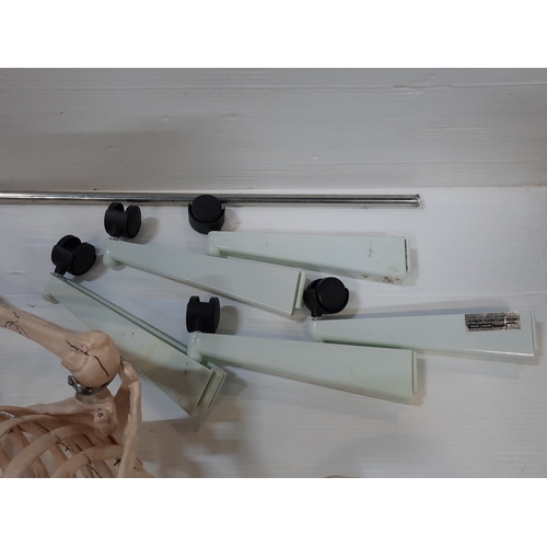 Life-size articulated plastic human skeleton model with labelled bones ...