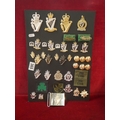 UDR CAP BADGES