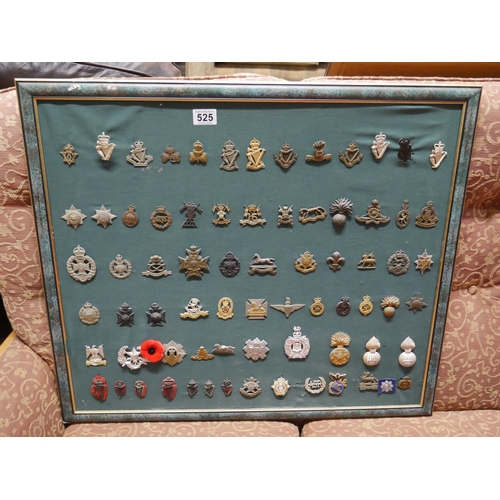 DISPLAY OF CAP BADGES
