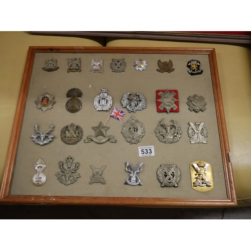 DISPLAY OF CAP BADGES