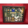 DISPLAY OF BADGES
