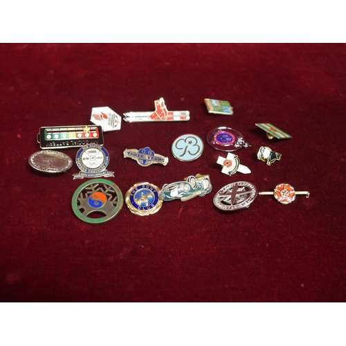 LOT OF BADGES