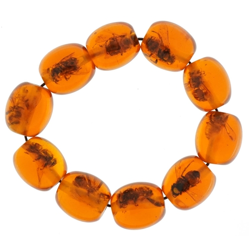 Amber coloured bead bracelet with encased insects, 8.5cm in diameter, 46.0g