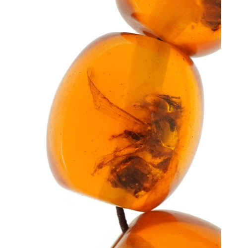 Amber coloured bead bracelet with encased insects, 8.5cm in diameter, 46.0g