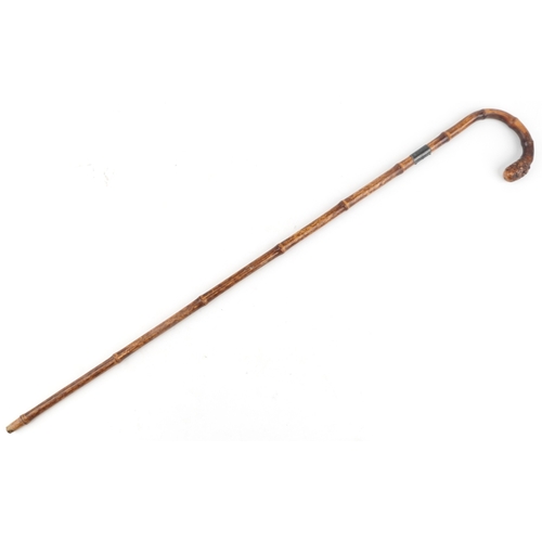 A 19th century bamboo walking stick with burr handle and silver collar ...