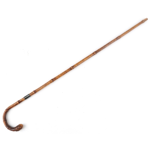 A 19th century bamboo walking stick with burr handle and silver collar ...