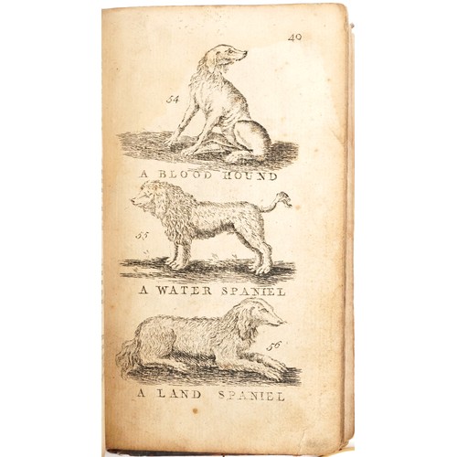 Thomas Boreman, A Description of Three Hundred Animals, viz. Beasts ...