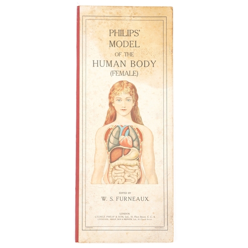 Philips' Anatomical Model of the Female Human Body edited by William S ...