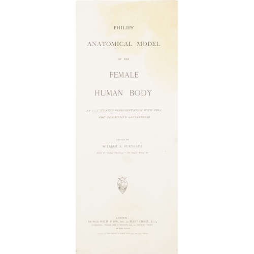 Philips' Anatomical Model of the Female Human Body edited by William S ...