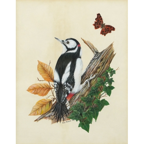 Jean Andrews - Ornithological Studies, a set of three late 20th century ...