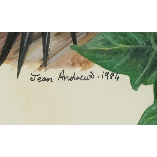 Jean Andrews - Ornithological Studies, a set of three late 20th century ...