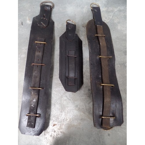 THREE LEATHER DISPLAY STRAPS WITH THREE TYPES OF ANTIQUE BEEHIVE BRIDLE ...