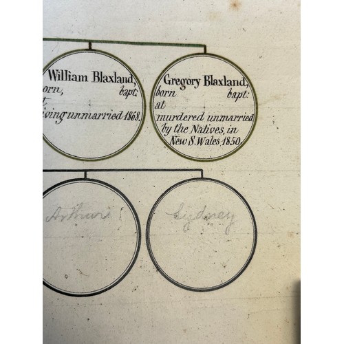 A superb Victorian hand written Family Tree, “Genealogy of the Family ...
