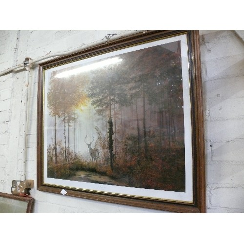 A FRAMED AND GLAZED PRINT OF 'THE QUIET FOREST' BY GERALD COULSON