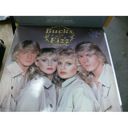 QUANTITY OF LP RECORDS - BILL HALEY, ANIMALS, BUDDY HOLY, BUCKS FIZZ ETC.