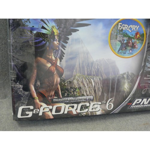 PNY TECHNOLOGIES NVIDIA GEFORCE 6 GRAPHICS ACCELERATOR 3D GRAPHICS CARD ...