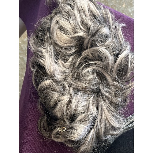 DREESSING UP WIGS AND HATS INCLUDING JUDGES WIG, BRIDES VEIL, RIDING ...