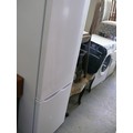 A CYCLOPENTANE FRIDGE FREEZER IN GOOD CLEAN CONDITION. 19.5" WIDE, 22 ...
