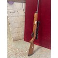 A SMK AIR RIFLE NEARLY NEW RABBIT DESTROYER SPORTMARKETING XT501 .22 ...