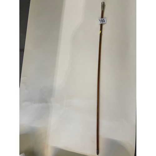 Vintage military swagger stick