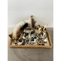 Collection dogs inc coopercraft
