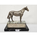 Bord Failte Perpetual Trophy - Ballinasloe October Fair - "Horse of the ...