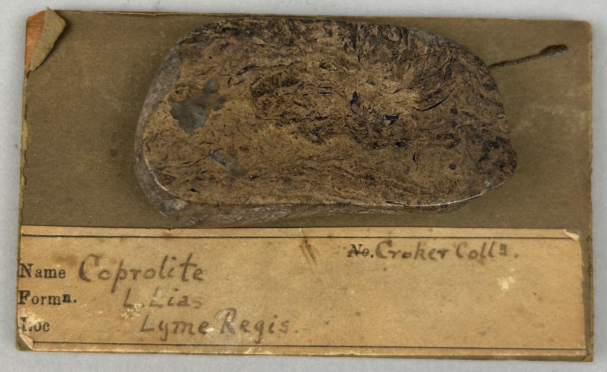 A FOSSILISED ICHTHYOSAUR COPROLITE (poo), ex museum collection, Croker ...