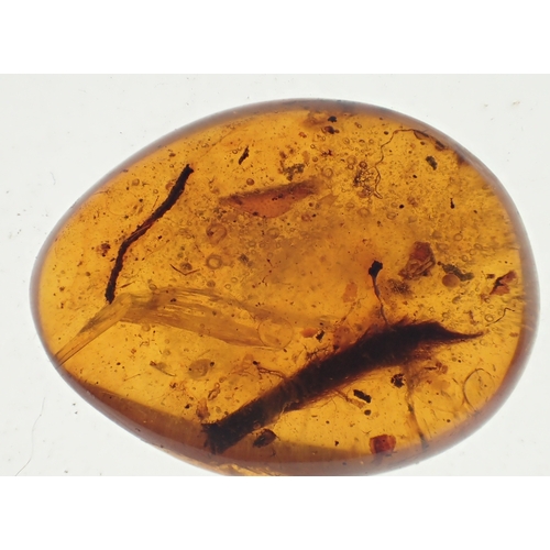A PROTO-FEATHERED DINOSAUR TAIL IN BURMESE AMBER Cretaceous period ...