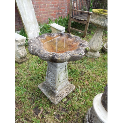 A garden concrete shell shaped bird bath