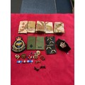 A mixed selection of assorted badges and insignia
