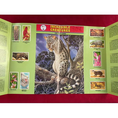 A selection of PG Tips cards and a map