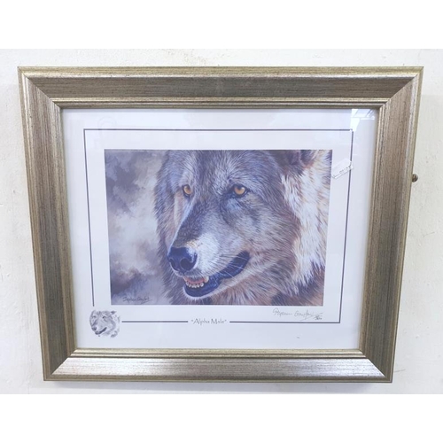 M/f/g Limited Edition Print 167/950 Alpha Male signed to margin ...