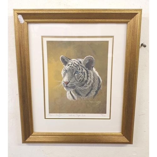 Limited Edition Print 283/1050 White Tiger Cub signed to margin Stephen ...