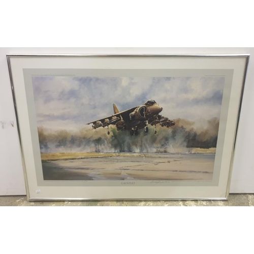 M/f/g Print Gauntlet, signed, Harrier Jump Jet, limited edition 276/500 ...