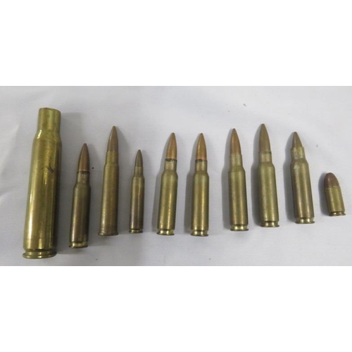 10 Brass Bullet Shell Cases
