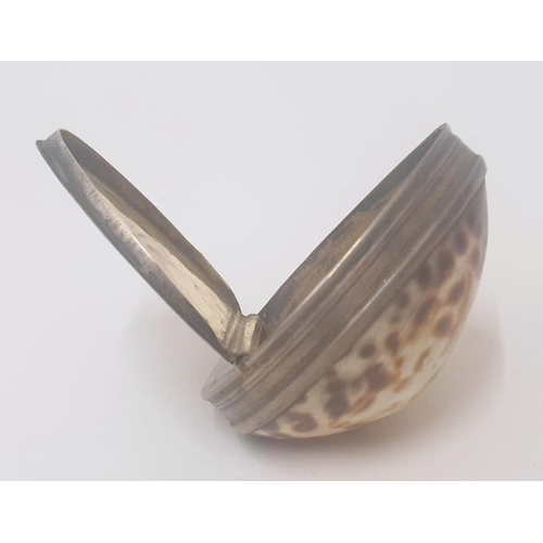 Unmarked White Metal C19th Conch Shell with engraved coat of arms to ...