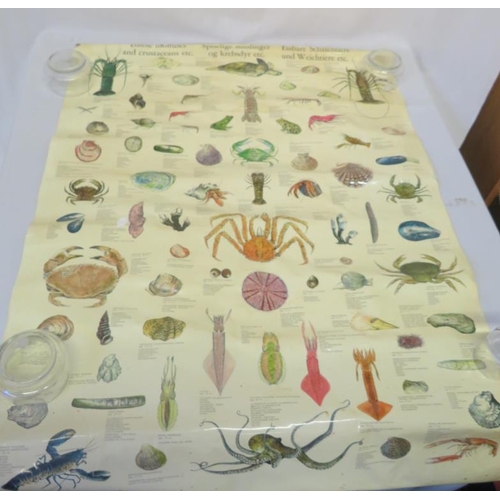 Posters & Prints incl. Compagnie Francaise ds Chocolats et des Thes ...