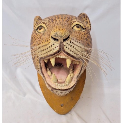 Carved Wooden Leopards Head on shield shaped mount approx. 43cm H ...