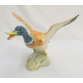 Beswick Mallard Duck no. 749 approx. 17cm H