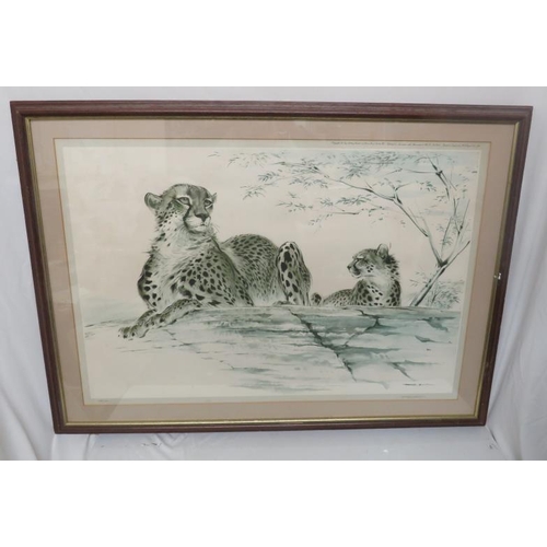 F/g Limited Edition Print No. 283 of 500 Cheetah Cubs, signed Ralph ...