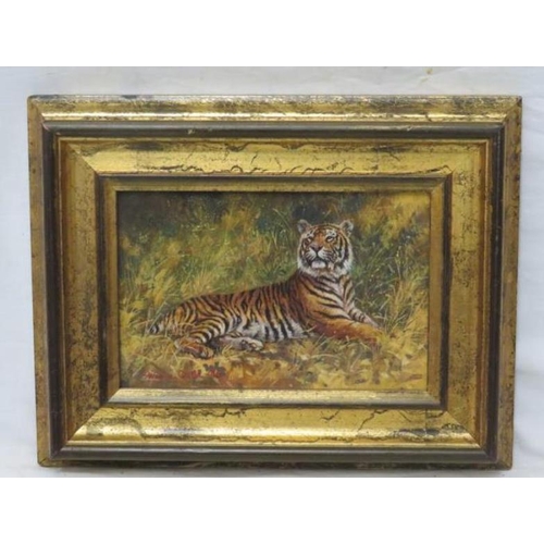 Framed Oil on Board, painting of a tiger signed Wayne Castle 96 approx ...