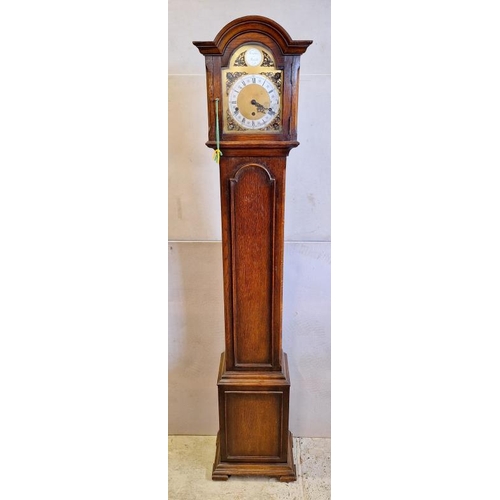 Tempus Fugit 3 Train Movement Longcase Clock, oak case, Roman numerals ...