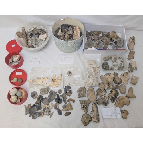 Fossils & Flint Tools, iron age, bronze age & Neolithic from Kent, iron ...