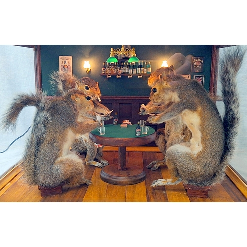 Taxidermy Study Squirrels Playing Cards in glass case with lighting