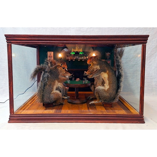 Taxidermy Study Squirrels Playing Cards in glass case with lighting