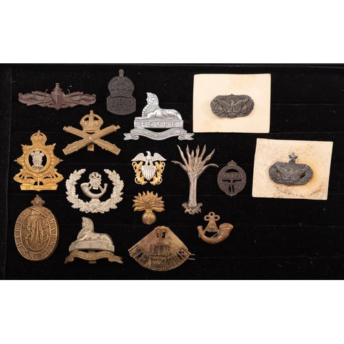 A collection of various regimental cap badges and insignia, including a ...