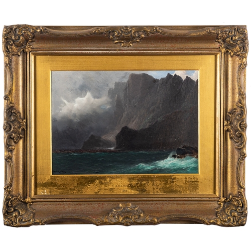 James H C Millar (XIX-XX) A high coastal cliff with gulls oil on panel ...